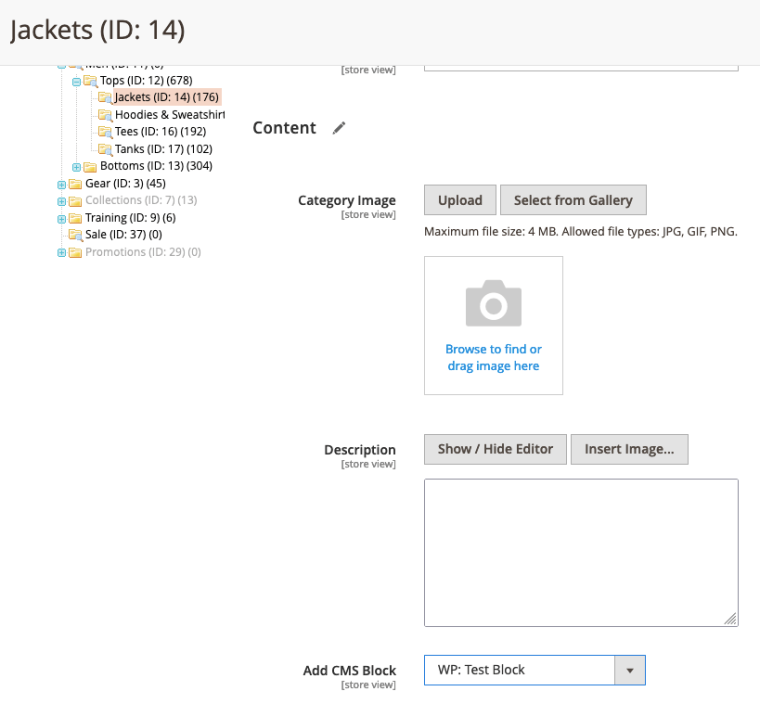 Content Blocks Magento 2 WordPress Integration FishPig